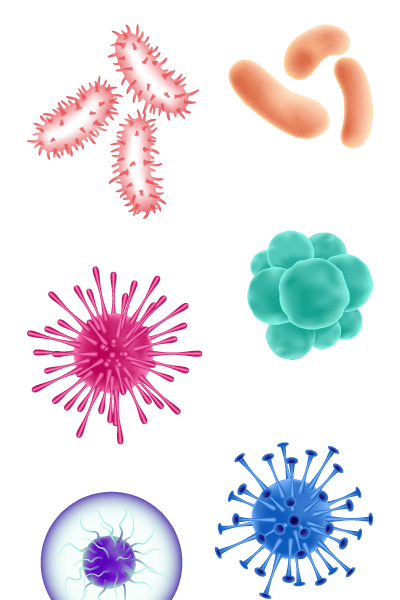 What is Food Poisoning? Everything You Need to Know | STOP